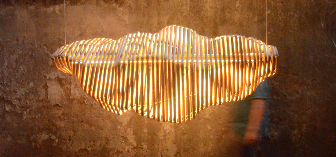 RHIZOME - MULTIDISCIPLINARY SUSTAINABILITY DESIGN STUDIO – Rhizome